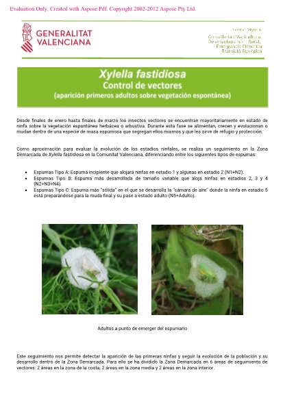 Xylella fastidiosa, control de vectores, 04 de abril 2023