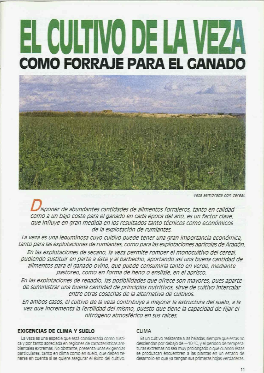 El cultivo de la veza como forraje para el ganado
